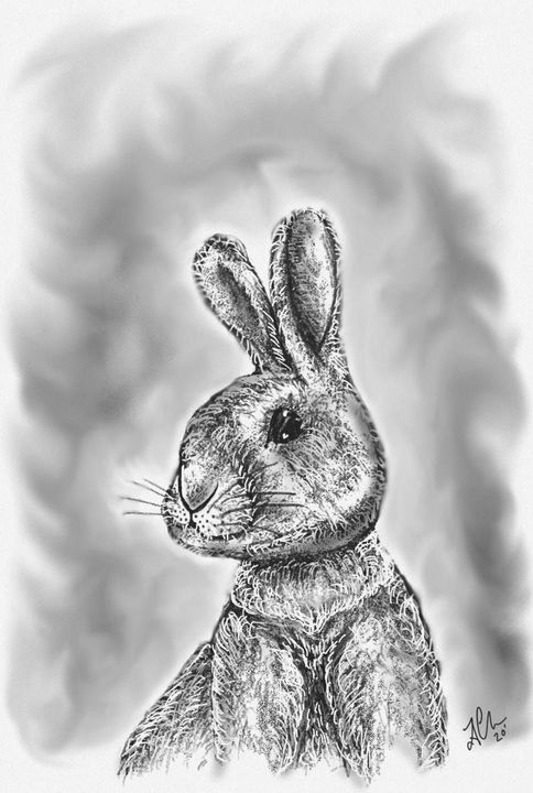 The Perfect Imperfections - Drawings & Illustration