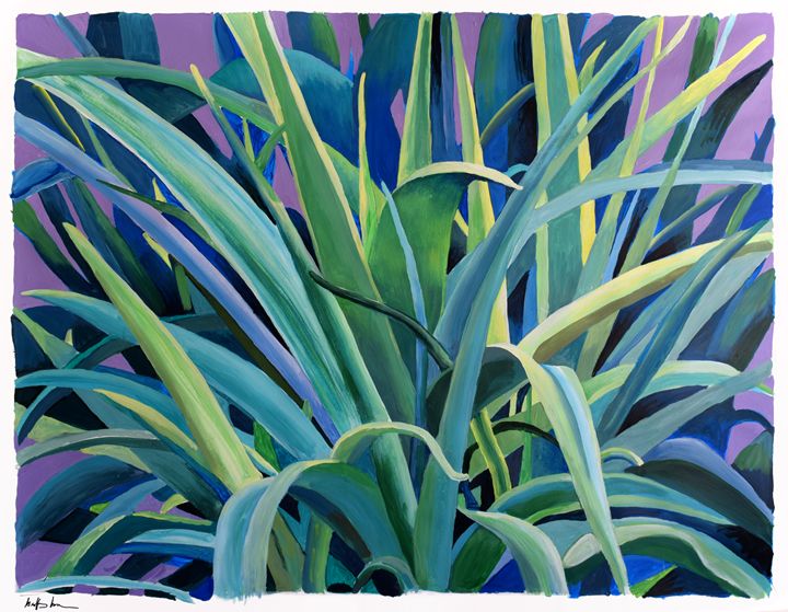 Astelias - Geoff Greene Gallery - Paintings & Prints, Flowers, Plants ...