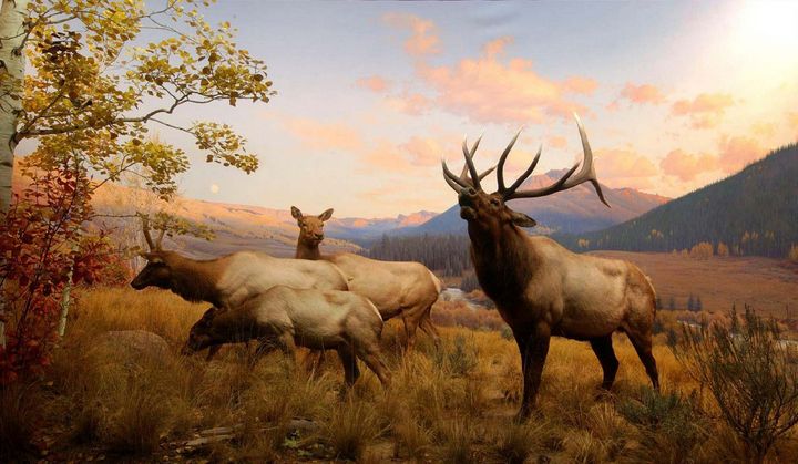 Background by James Perry Wilson, Fo - Old master image - Paintings ...