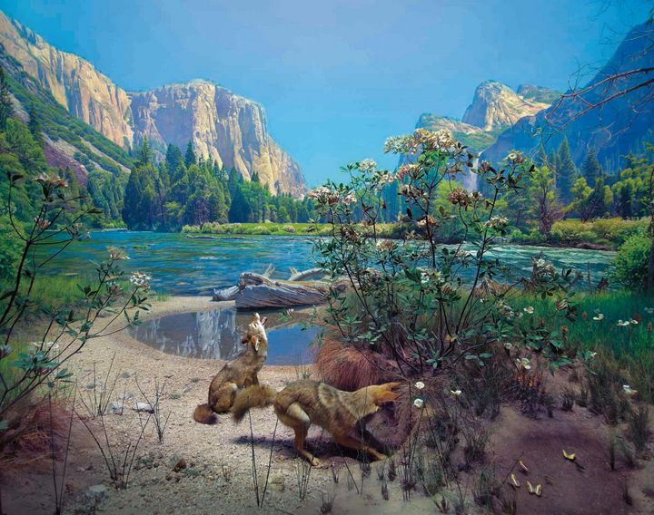 Background by James Perry Wilson, Fo - Old master image - Paintings ...