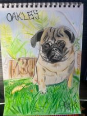 Art by Ally Marshall - Drawings & Illustration, Paintings & Prints