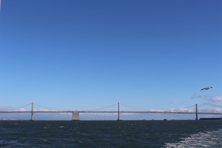 Victoria Smith - Photography