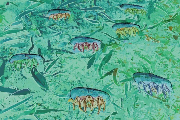 Trap Door Spiders in Green - Rose Marinelli - Paintings & Prints ...