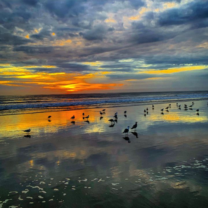 Zuma Beach Sunset - Daved Thom Images - Photography, Landscapes ...