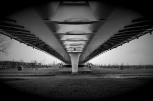 Vanja Rosenthal Photography - Photography