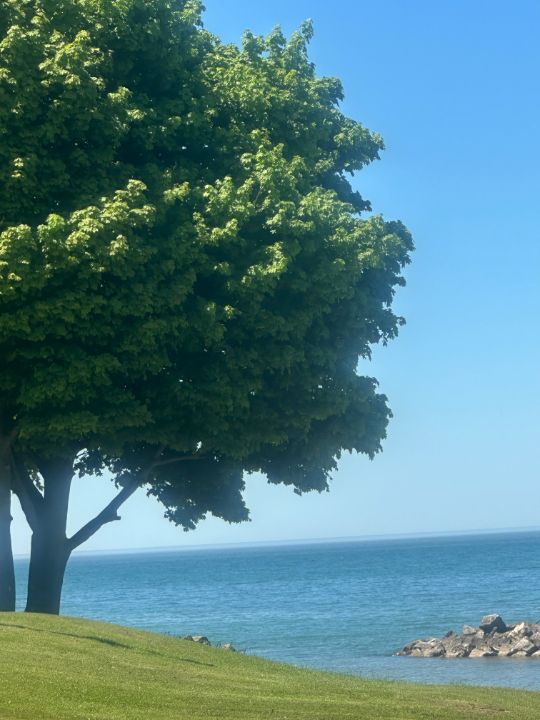 Perfect day - Psychodynamic Artwork - Photography, Landscapes & Nature ...