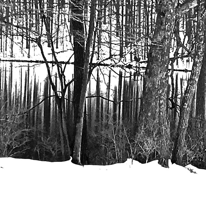 Winter Wood - Joseph Thaler Photo Art - Photography, Landscapes ...