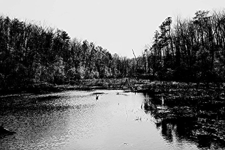 Up River - Joseph Thaler Photo Art - Photography, Landscapes & Nature ...