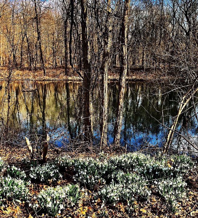 Early Spring - Joseph Thaler Photo Art - Photography, Landscapes ...