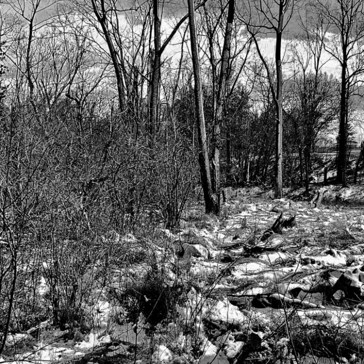Snow Cover - Joseph Thaler Photo Art - Photography, Landscapes & Nature ...