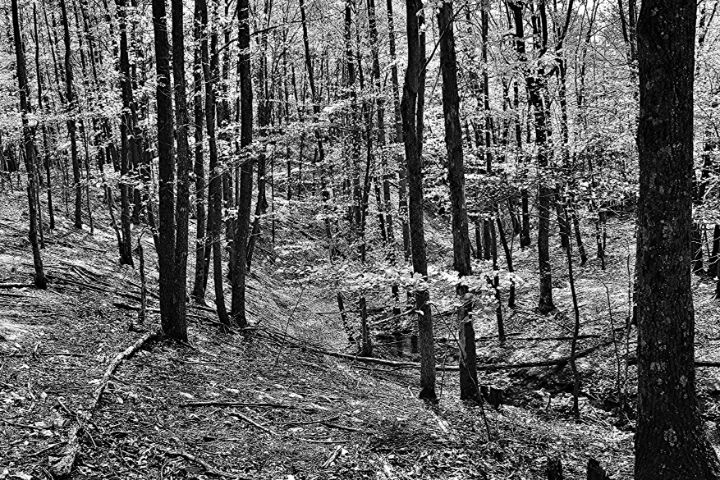 Maze - Joseph Thaler Photo Art - Photography, Landscapes & Nature ...