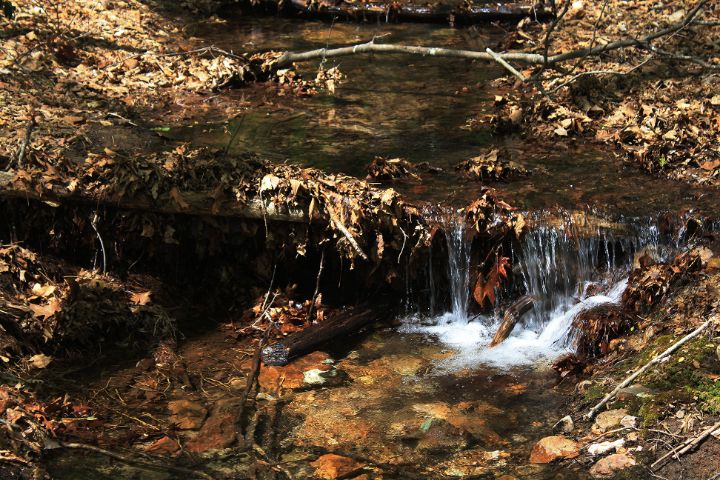 Dribble - Joseph Thaler Photo Art - Photography, Landscapes & Nature ...