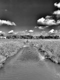 Joseph Thaler Photo Art - Photography, Digital Art