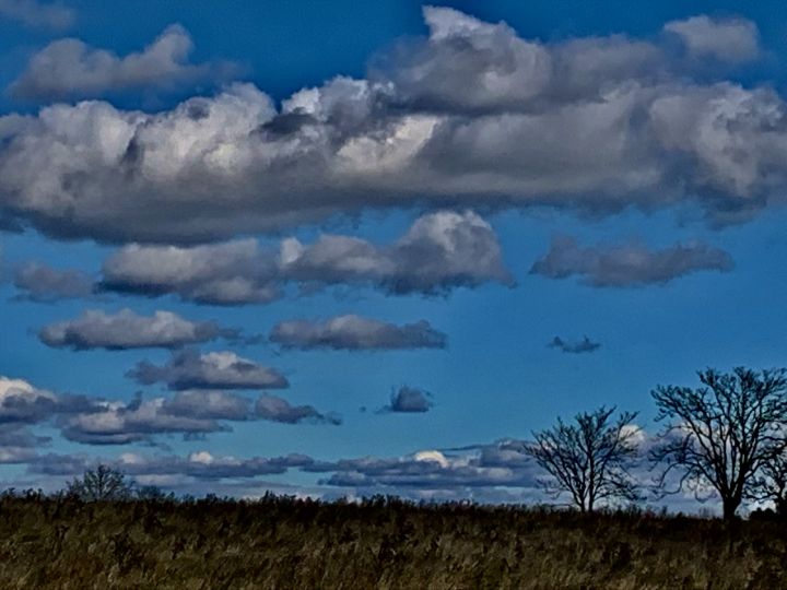 Two Trees - Joseph Thaler Photo Art - Photography, Landscapes & Nature ...
