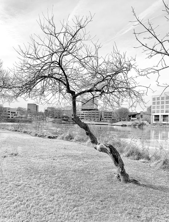 Distorted - Joseph Thaler Photo Art - Photography, Landscapes & Nature ...