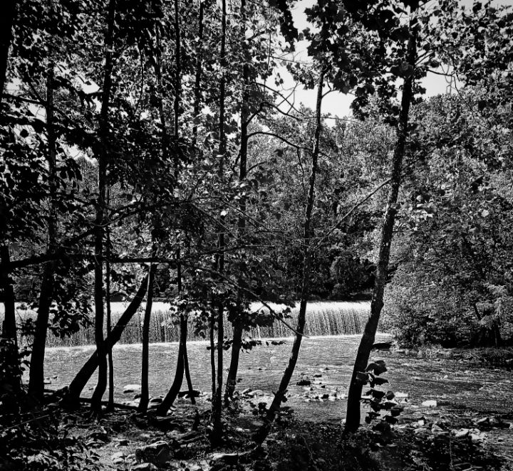 Thru The Trees - Joseph Thaler Photo Art - Photography, Landscapes ...