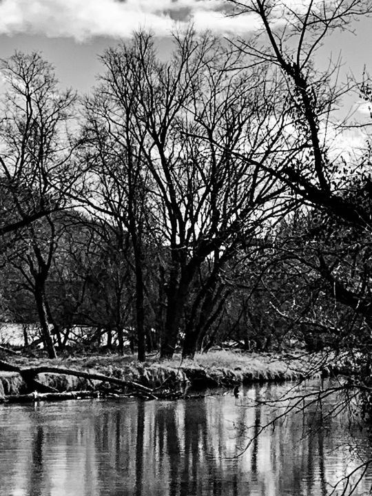 BW Stream - Joseph Thaler Photo Art - Photography, Landscapes & Nature ...