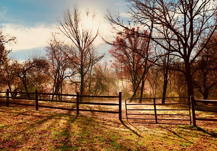Morning Fog - Joseph Thaler Photo Art - Photography, Landscapes ...