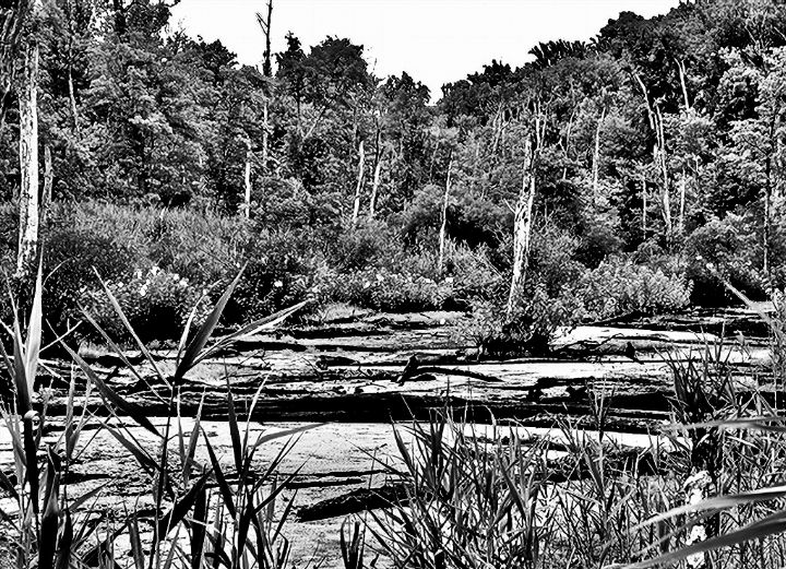 Fallout - Joseph Thaler Photo Art - Photography, Landscapes & Nature ...