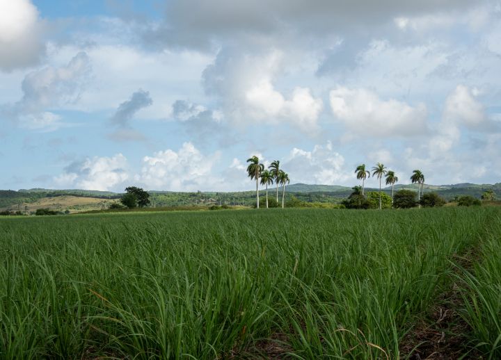 Cuba Landscape. - YD.Firingo. - Photography, Landscapes & Nature, Other ...