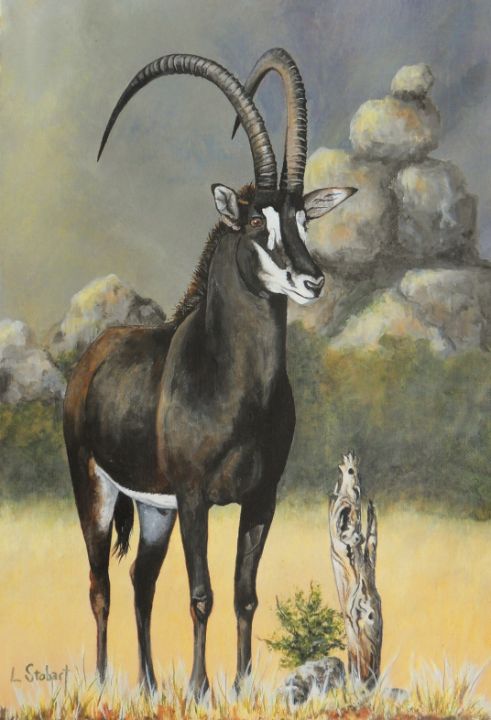 Majesty in Matopos - Laura Stobart - Paintings & Prints, Animals, Birds ...