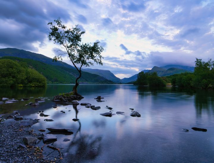 Reflections of the Lonely Tree - Janet Carmichael Photography ...