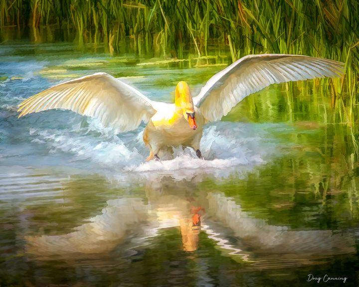 Perfect Landing - Doug Canning - Digital Art & AI, Animals, Birds ...