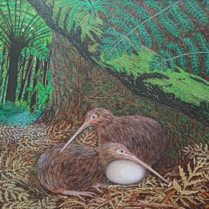 Beautiful bird painting. New Zealand - Darren Burch - Paintings ...