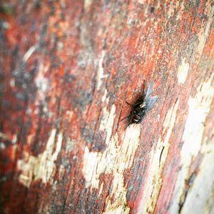 BB - Paintings & Prints, Photography, Digital Art & AI, Drawings ...