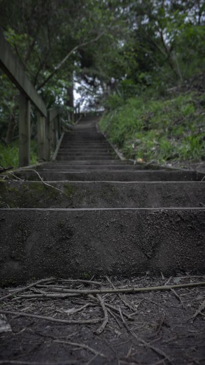 Out of the Forest - Oberon Photography - Photography, Landscapes ...