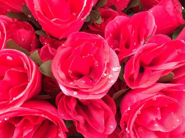 Roses - Giart - Photography, Flowers, Plants, & Trees, Flowers, Flowers ...