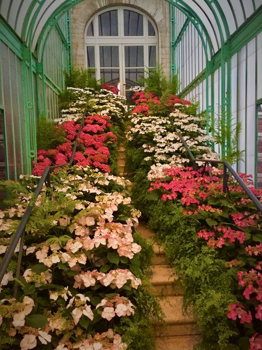 Stairs - Giart - Photography, Buildings & Architecture, Architectural ...