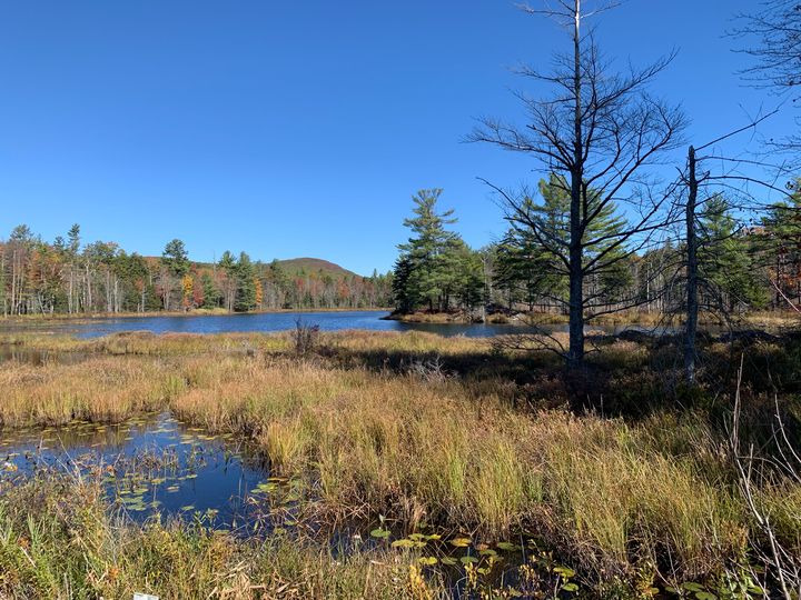New Hampshire pond - Beatrice - Photography, Landscapes & Nature, Lakes ...