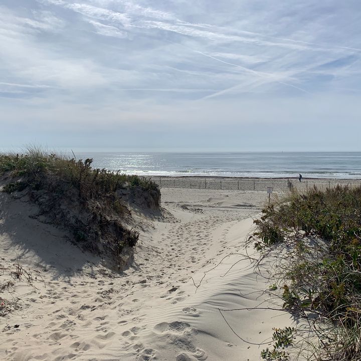 Cape Cod - Beatrice - Photography, Landscapes & Nature, Beach & Ocean ...