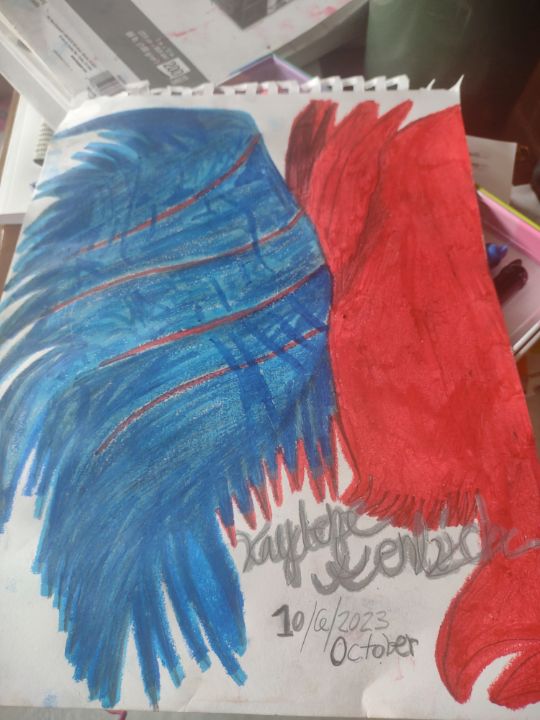 Angel and Demon Wings - Kaylene Gerbich - Drawings & Illustration ...