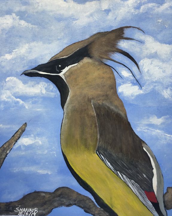 The Cedar Waxwing - Black'-Art Paints - Paintings & Prints, Animals ...