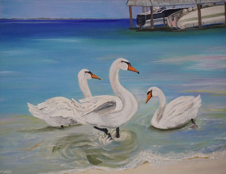 Playful Swans - Chambersart - Paintings & Prints, Animals, Birds ...
