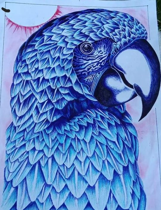 Blue parrot - Drawings - Drawings & Illustration, Animals, Birds ...