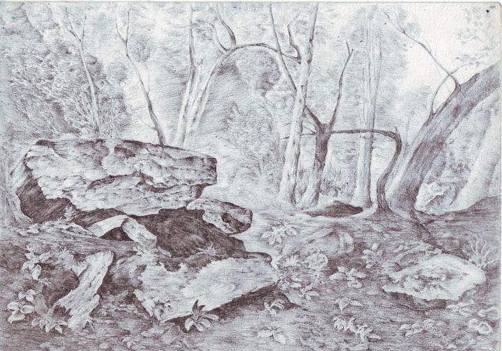 Rocks & trees,pencil art - Uart78 - Drawings & Illustration, Flowers ...