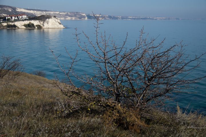 High shore near Balchik - Dmitry Puzyrev - Photography, Landscapes ...