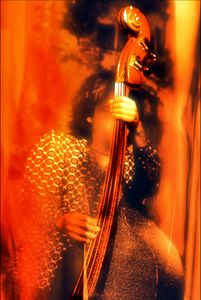 Marc-André Le Tourneux, photographer - Photography