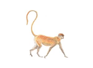 The Montessori Company - Paintings & Prints