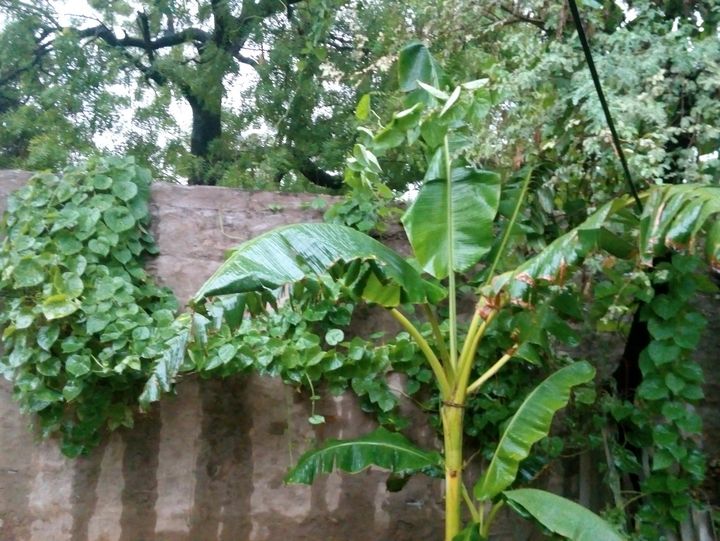 pankaj's artwork - Photography, Drawings & Illustration