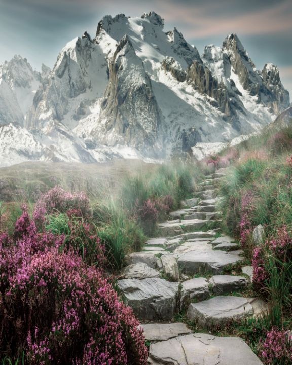Majestic Mountain, Foggy Pink Roses - Jacob Lambert Store - Photography ...