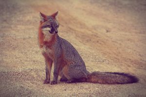 phos illuminare - Photography