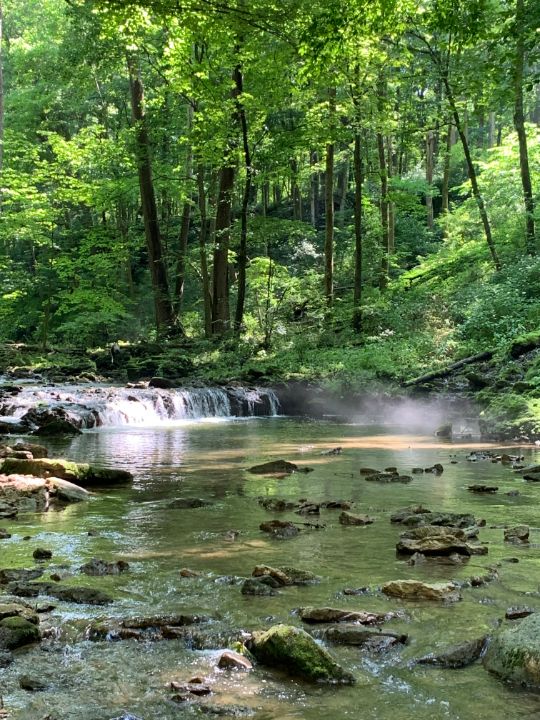 Going within - Timothy Yoe - Photography, Landscapes & Nature, Forests ...