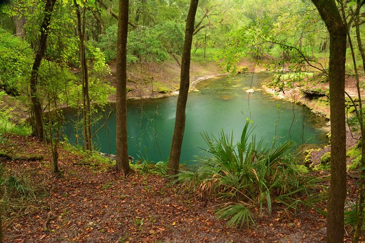 Owen Beauty - Joe Cruz Photography - Photography, Landscapes & Nature ...