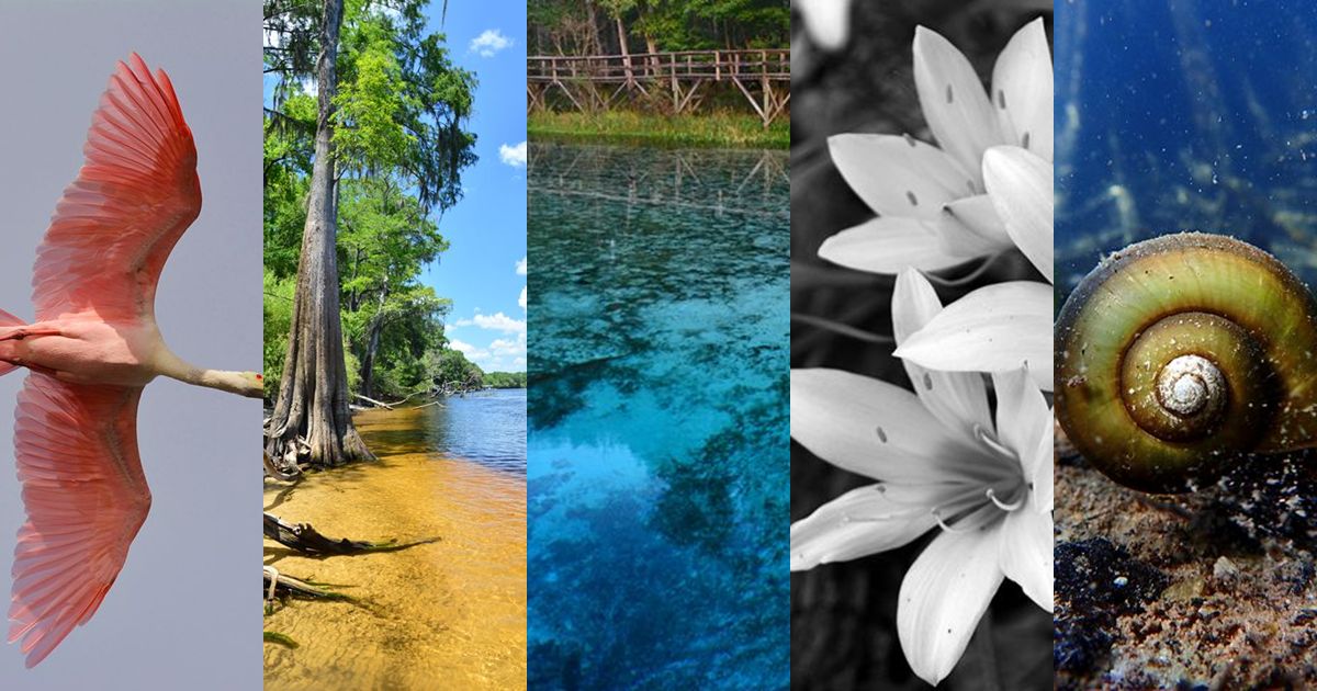 Joe Cruz Photography - Photography