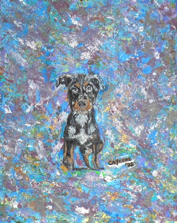 My Cayenne - D.Goodman - Photography, Animals, Birds, & Fish, Dogs ...