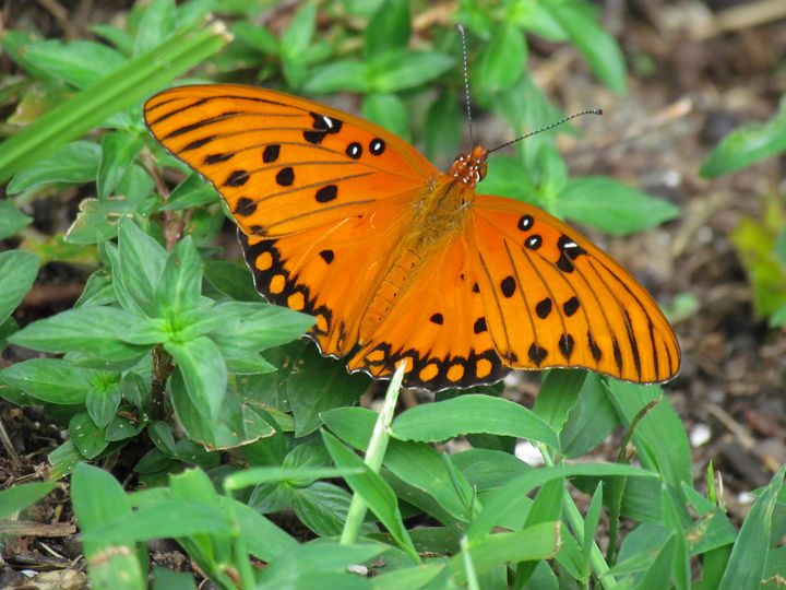 Ian Sands - Photography